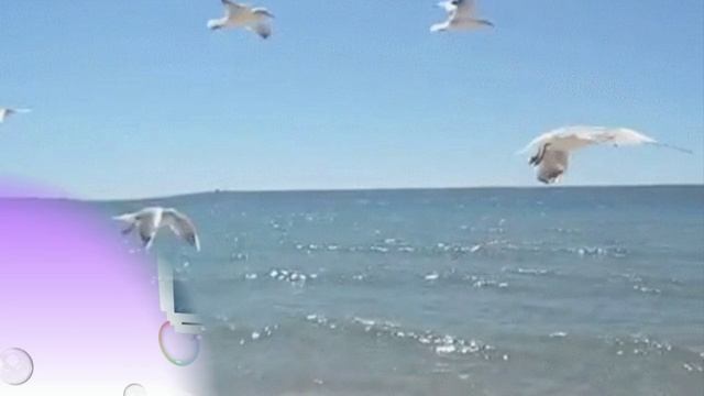 На далёких морских просторах