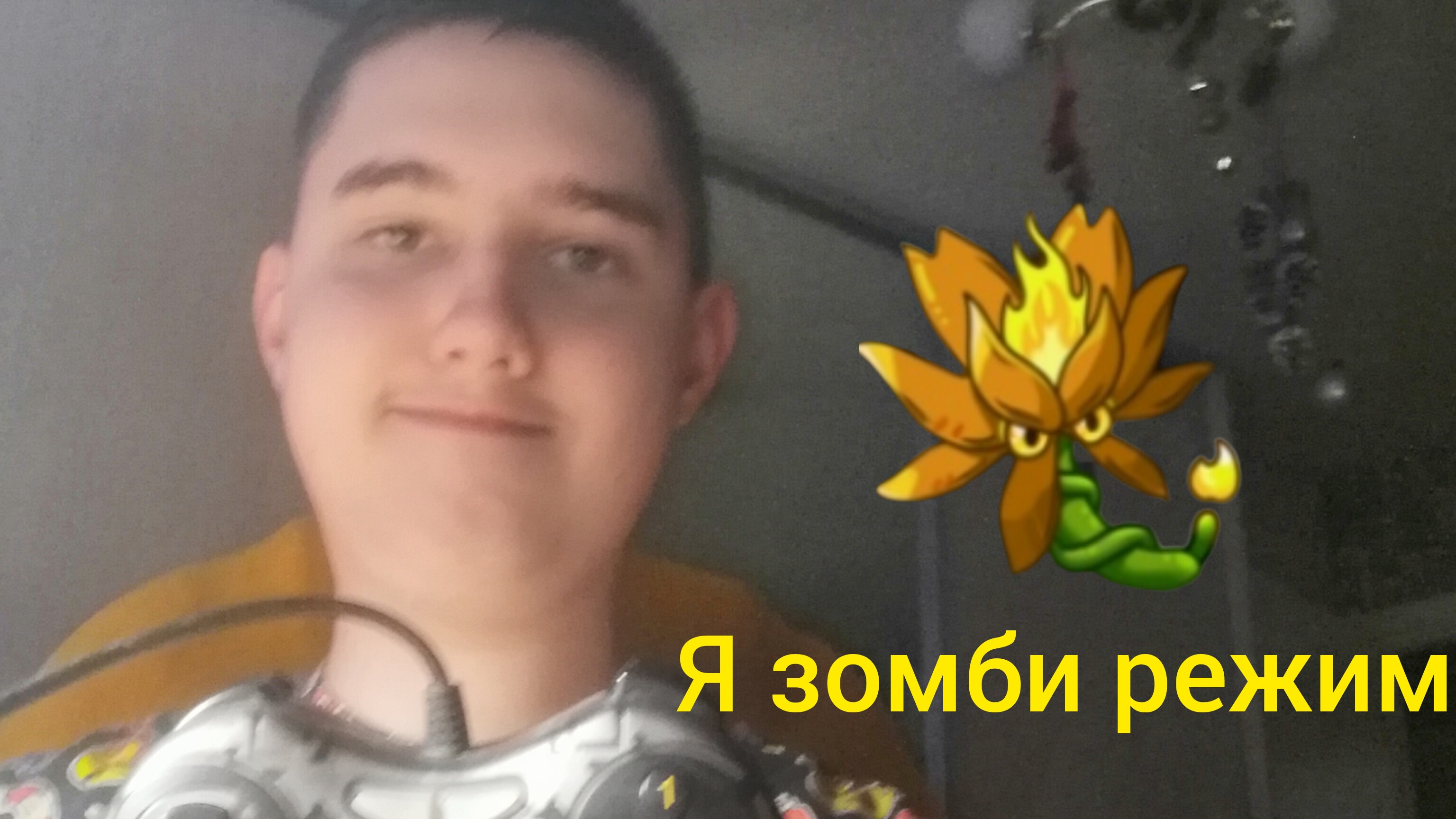 Я играю в pvz fusion mod режим я зомби 1 часть (пк версия)!