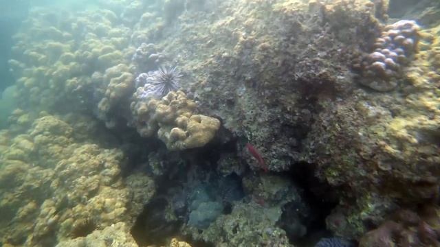 Андаманское море. Пхукет 2020. Встреча с морем. Ката.Экшн