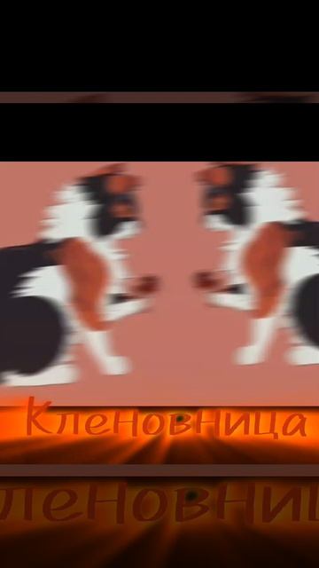 Кленовница 🍁