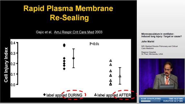 Microvasculature in VILI  J.J.Marini (NY-2006)