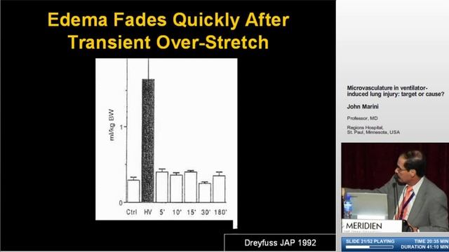 Microvasculature in VILI J.J. Marini-1(2006 Shanghai)
