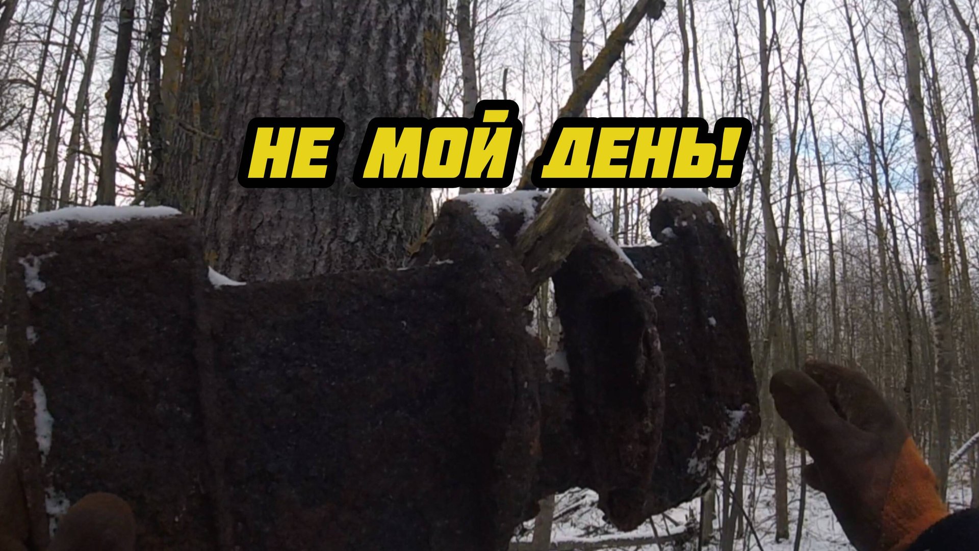 День пошел не по плану.