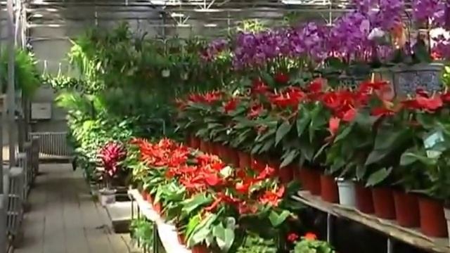 Бэйдайхе 2006 Семейный отдых.