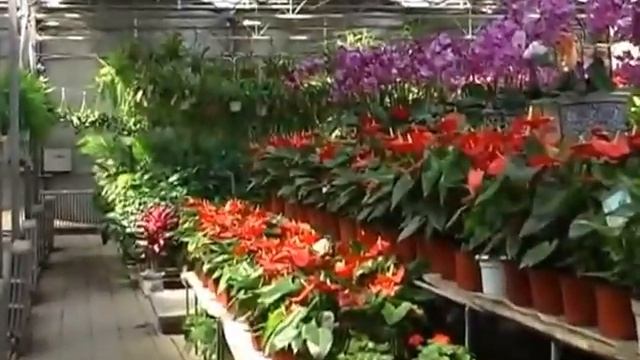 Отдых в Китае на море в городе Бэйдайхе