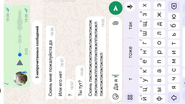17-02-2025