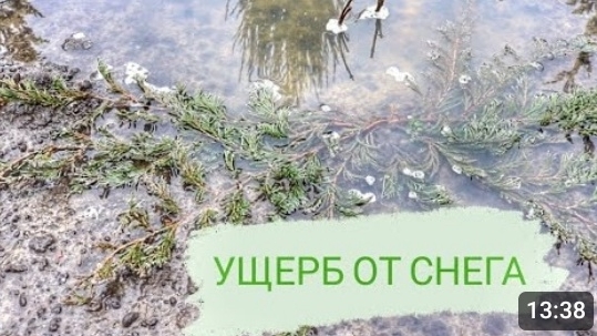 УЩЕРБ ОТ СНЕГА. 19.12.23г.
