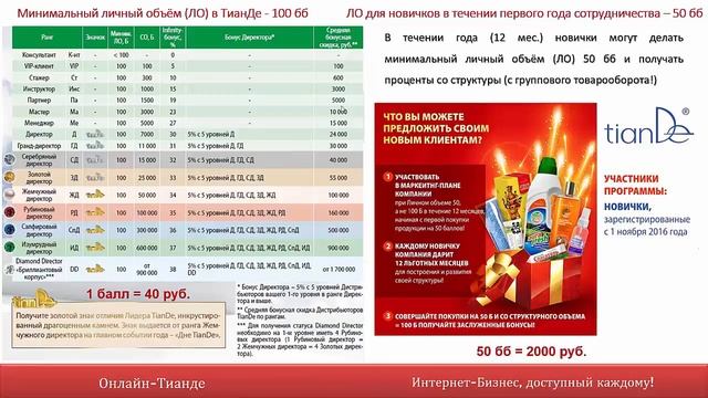 Доходы в интернет проекте 'Онлайн Тианде'