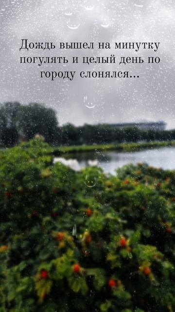 Летний дождь