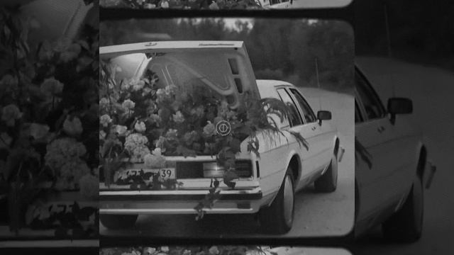 СТОЛИЦА ЗАКАТОВ // ИНТРО