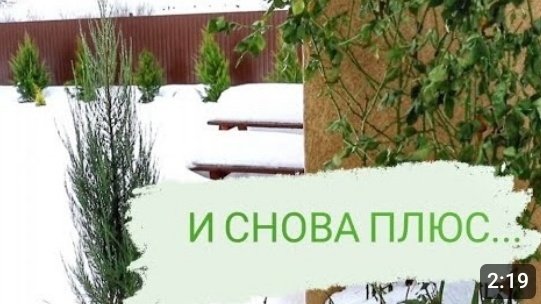 И СНОВА ПЛЮС... ИДЁТ ДОЖДЬ И ТАЕТ СНЕГ. 17.12.2023г.