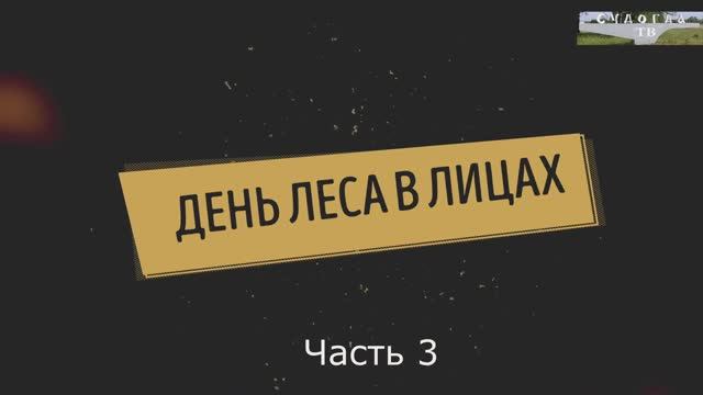 День леса в лицах (часть 3)