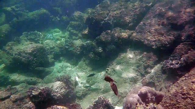 Андаманское море. Пхукет 2020г. Карон,Ката