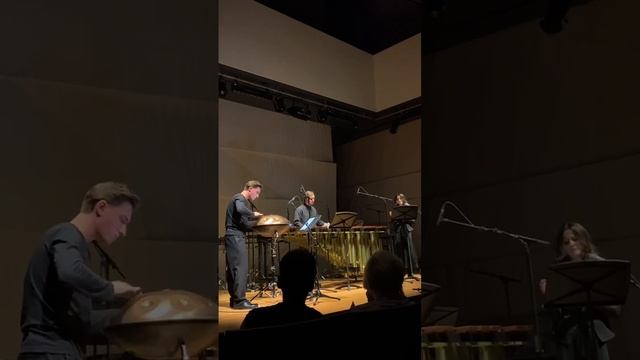 Ханг Курд Ре минор и Маримба на концерте Singing marimba в "Зарядье" #handpan #percussion #musician