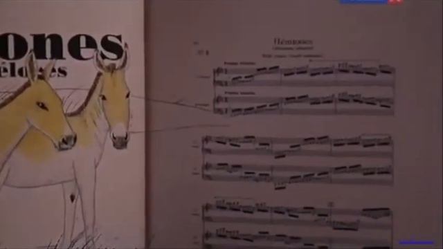 3. Третий музыкальный фрагмент "Антилопы"- сюита "Карнавал животных" комп.  К Сен Санс