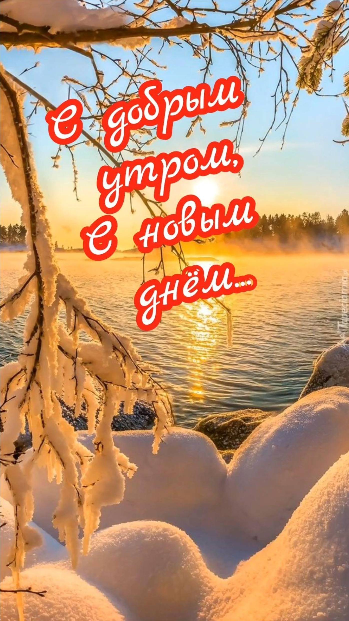 ❄️ С добрым зимним утром!
