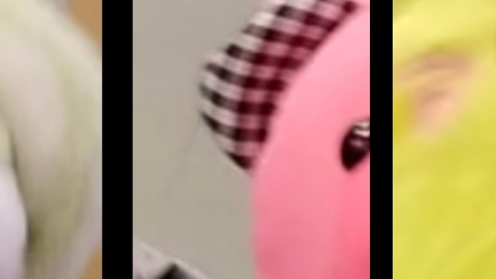 Сибаса не остановить, одну за другой тащит 😎👍👀 Плюшистики 😺

ТамараЁптаСтайл