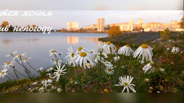 Просыпаясь, наденьте улыбку...автор Гала Граф, в моем прочтении