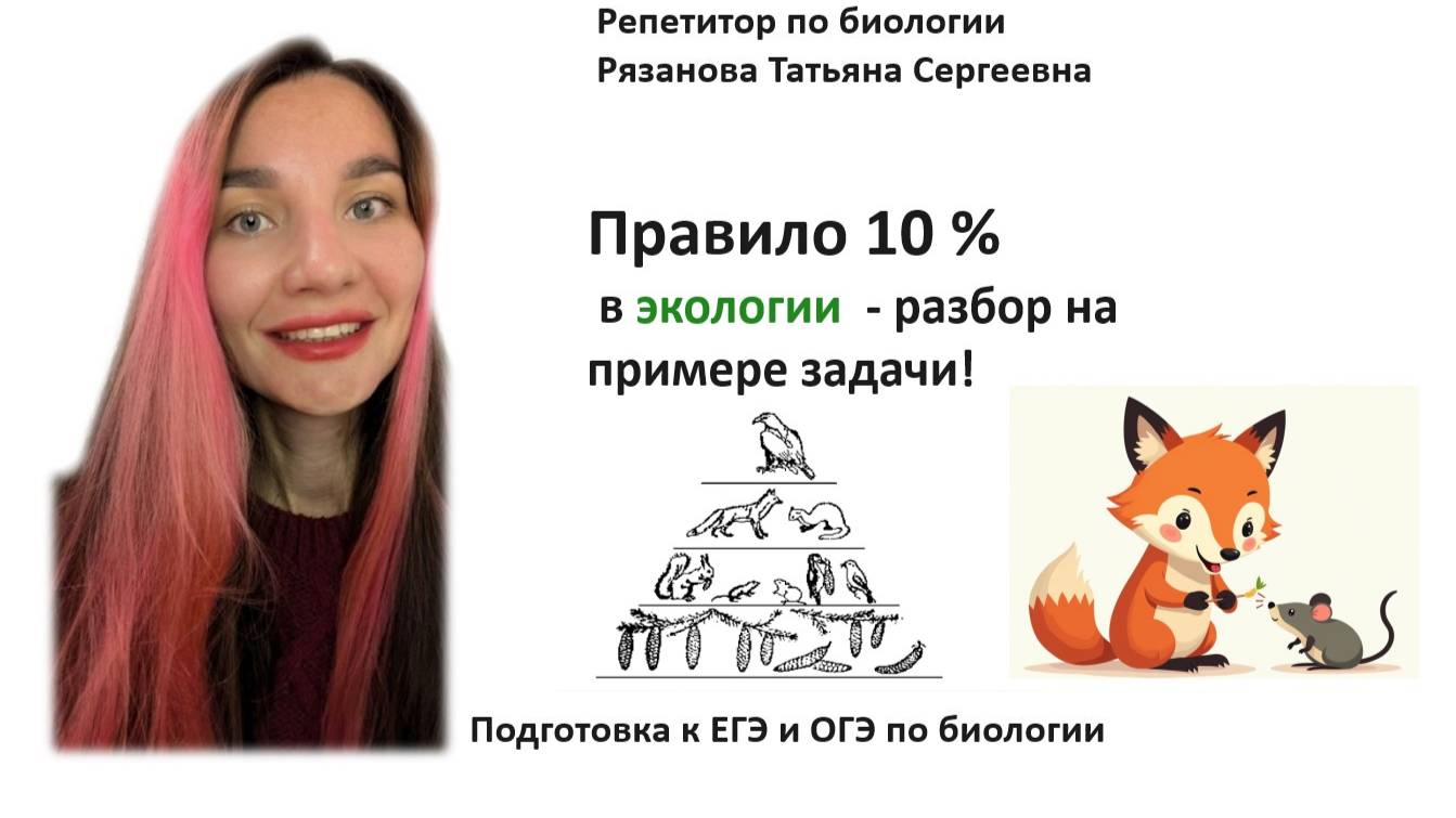 Новый тип задач в ЕГЭ 2025  - задача на экологическую пирамиду