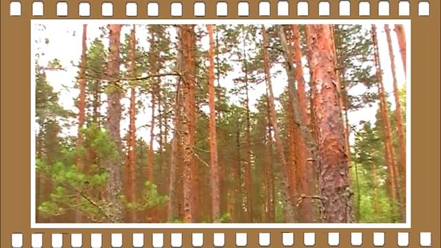 Мне бы вернуться...(Опухлики-2)