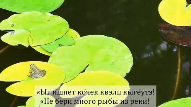 Сказка про лягушку на нарымском южноселькупском языке