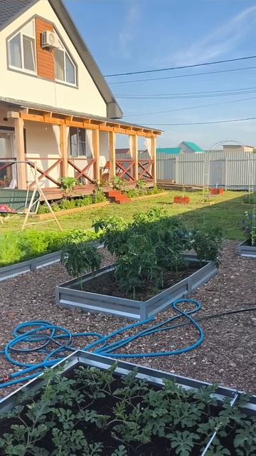 вид из космоса