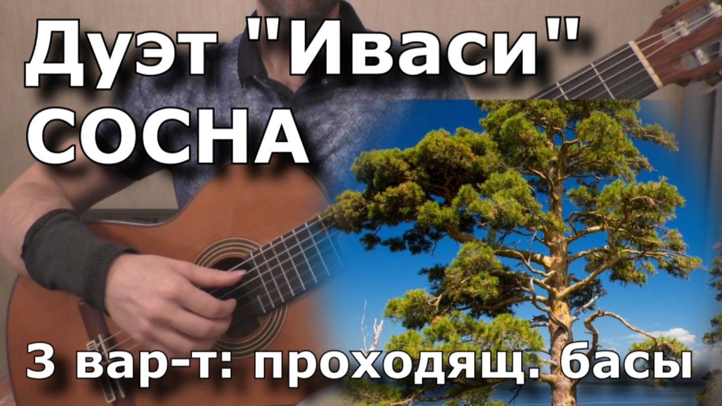ИВАСИ - Сосна (3вар: проходящие басы) - разбор и табы