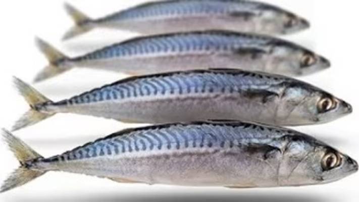 Копчёная скумбрия. Маринкины творинки. Всем МИРА и Добра!