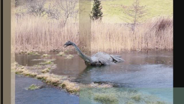 Шотландия. Озеро Лох-Несс. 03. 2017 г.