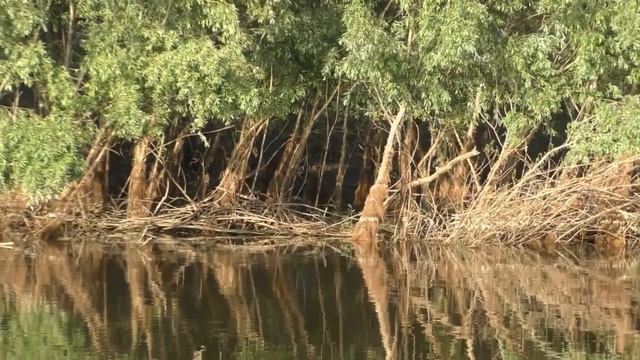 Судачим, Харабали 2020. Часть вторая