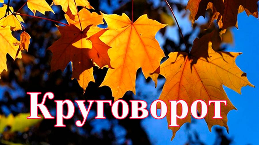 Круговорот