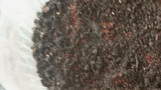 Посев семян на рассаду