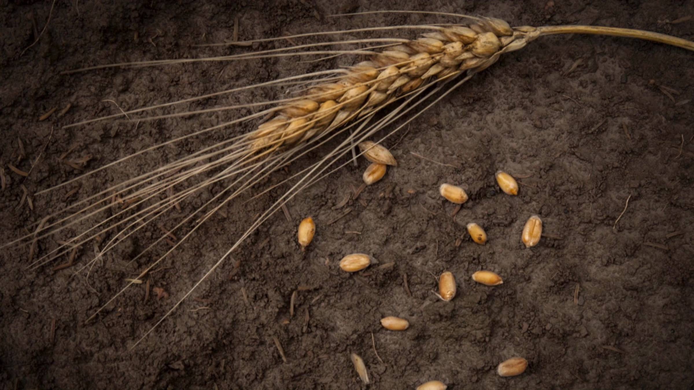 Андрей Ерошин. Фотография, поэзия. Октябрьские чтения, 2024