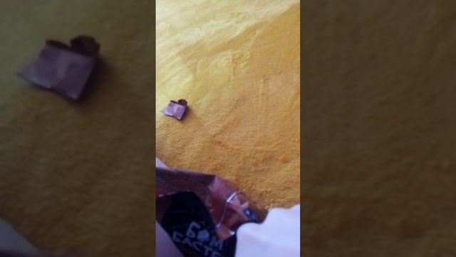 обзор на попкорн