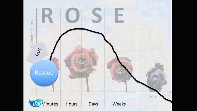 The Ideal IV Fluid Manu Malbrain #iFADmini #IFAD2018