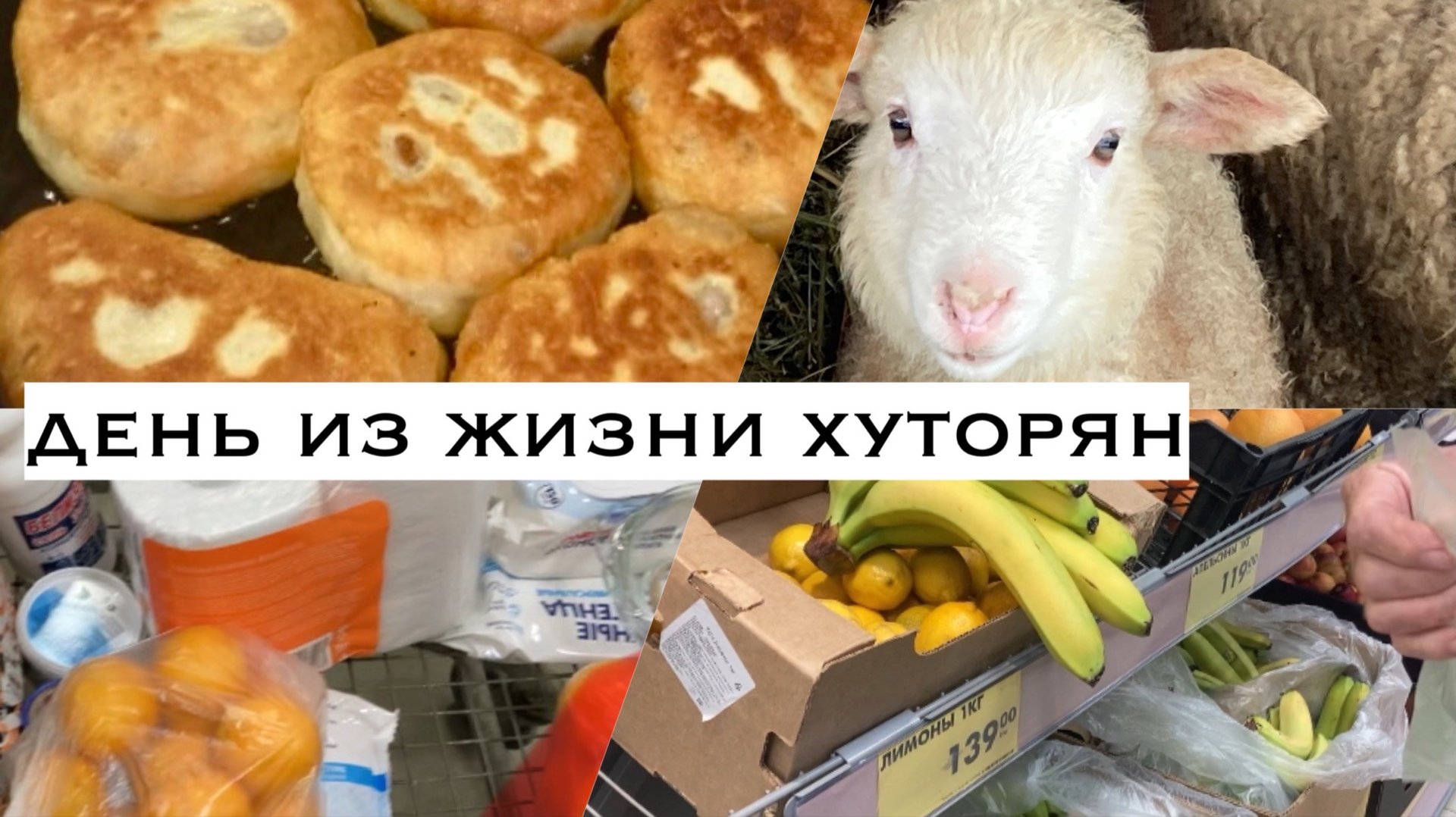 Сельская жизнь/ Беляши как раньше/Поездка в Гиагинскую/Отменили заказ/15.02.2025