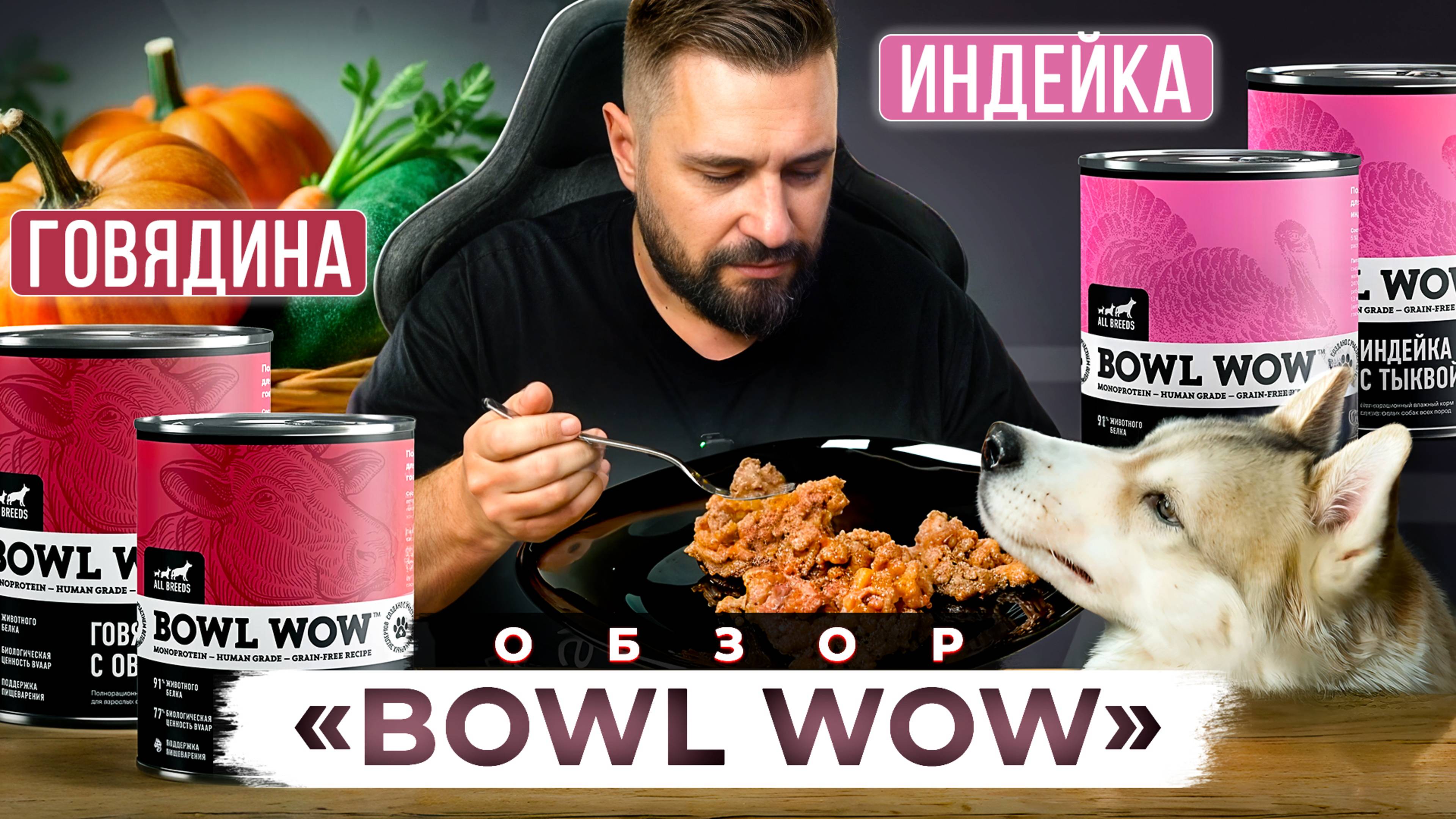 BOWL WOW: разбор влажного корма для собак — плюсы, минусы, соответствует ли он стандартам?