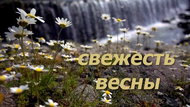 времена года