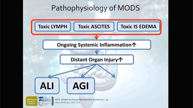 Malbrain Understanding GIPS ISICEM18 @Fluid Academy