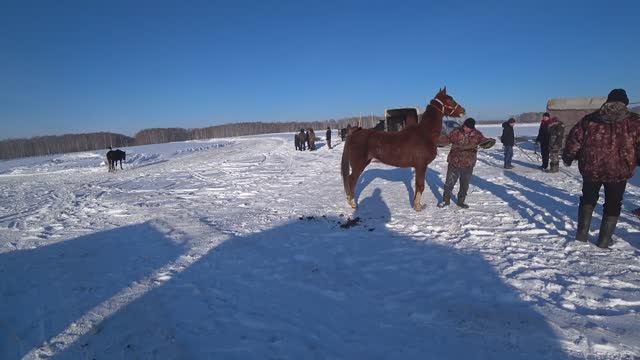Конные скачки. Разминка.  2025. 1часть.