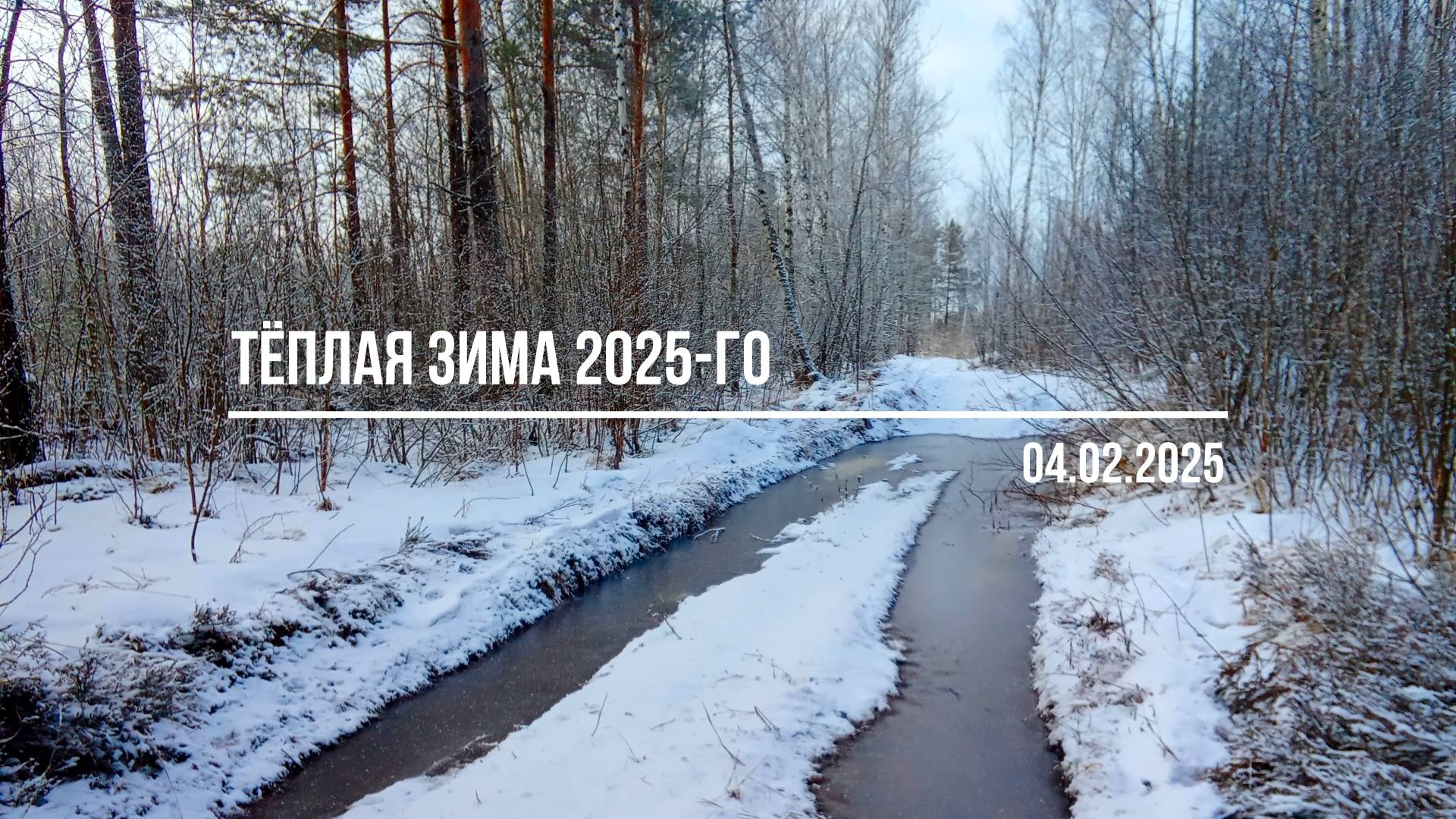 Тёплая зима 2025-го (04.02.2025)