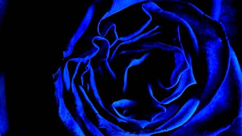 Все оттенки Индиго: Погружение в Глубину Цвета