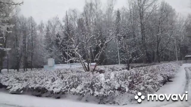 Прекрасная погода 08.04.2021г.