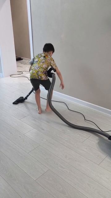 кот проявляет толерантность к пылесосу