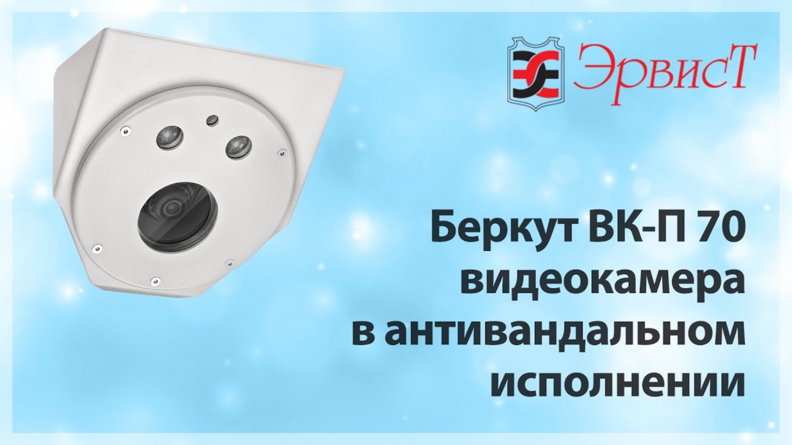Беркут ВК-П 70 видеокамера в антивандальном исполнении