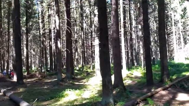 Комаровский берег. Экотропа. Один день из жизни.