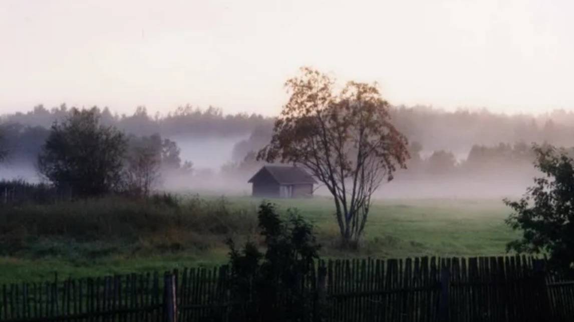 За околицей туман, разбор на гармони №-410 с цифрами