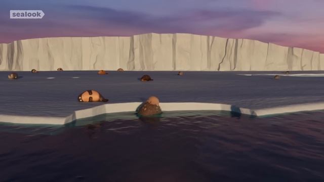 Морские Котики: Ангел-хранитель | Эпизод 91 🐾👼