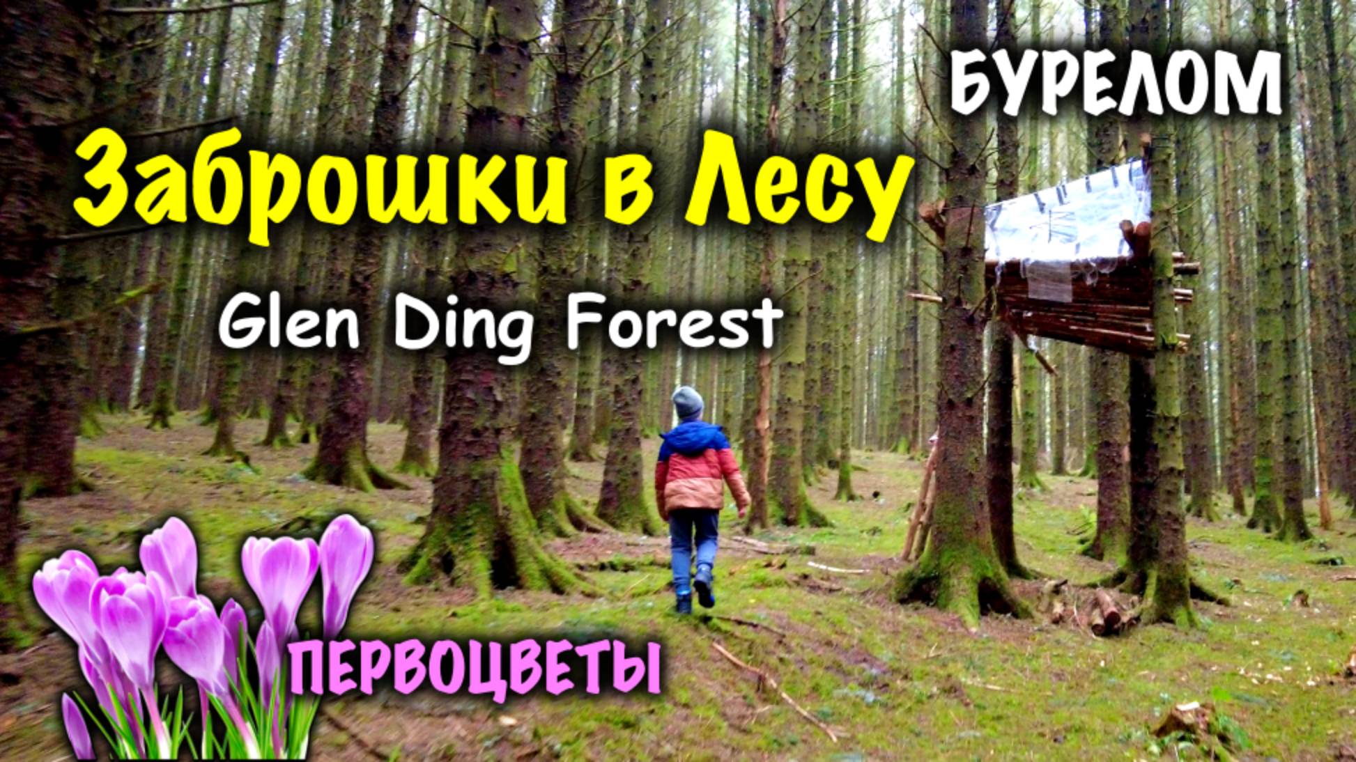 Ирландия🇮🇪Первоцветы/Blessington/Новый Парк/Находки в Лесу 😱Последствия Урагана Éowyn