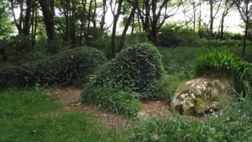 ЗАБЫТЫЙ  САД  ХЕЛИГЭН...